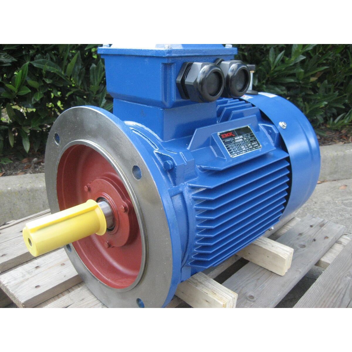 EMK Elektromotor Drehstrom 45kW 1500/min Welle 60mm 225M B5(Flansch ...