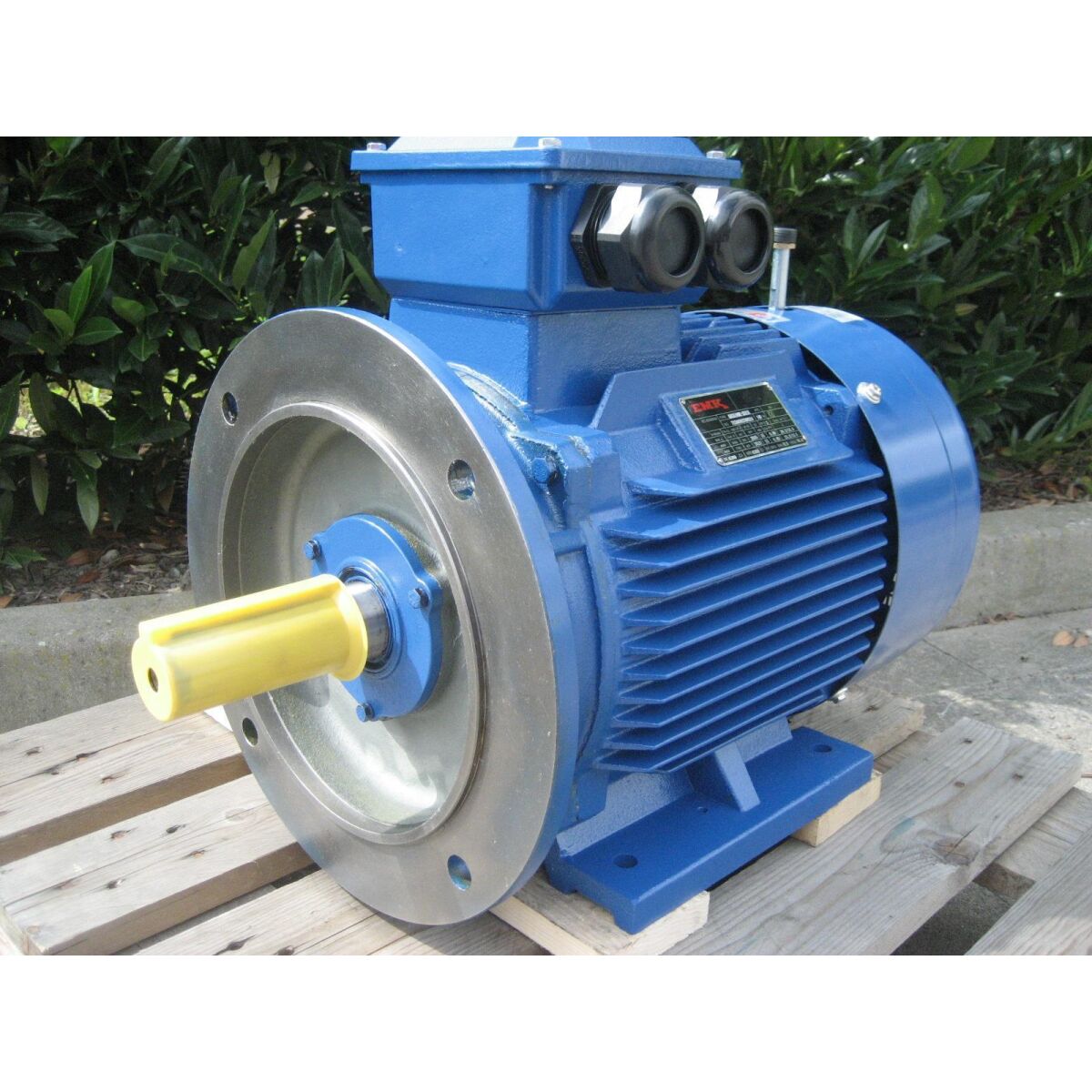 EMK Elektromotor Drehstrom 30kW 1000/min Welle 60mm 225M B35(Fuß+Flan ...