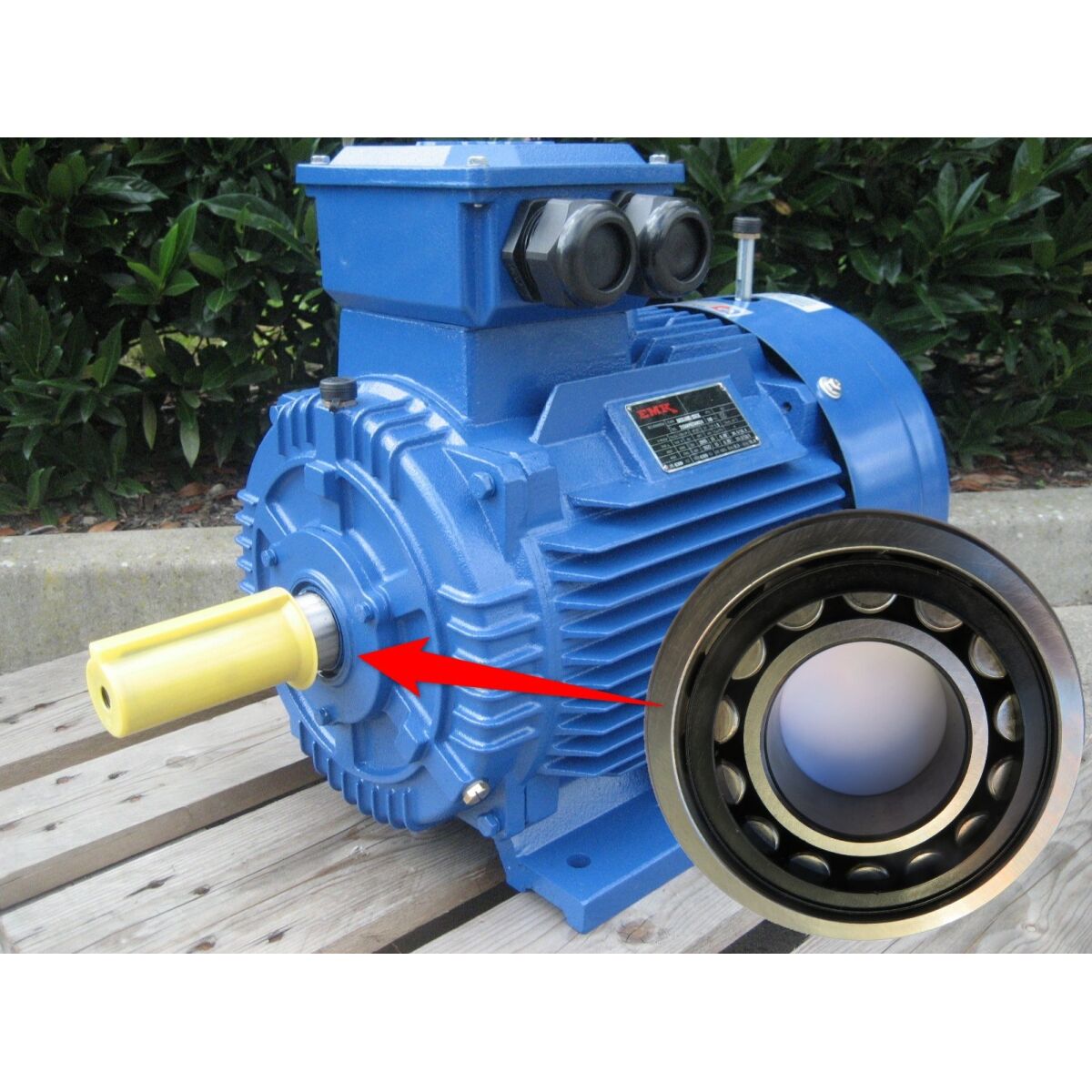 EMK Elektromotor Drehstrom 37kW 3000/min Welle 55mm 200L B3(Fuß) IE3 ...