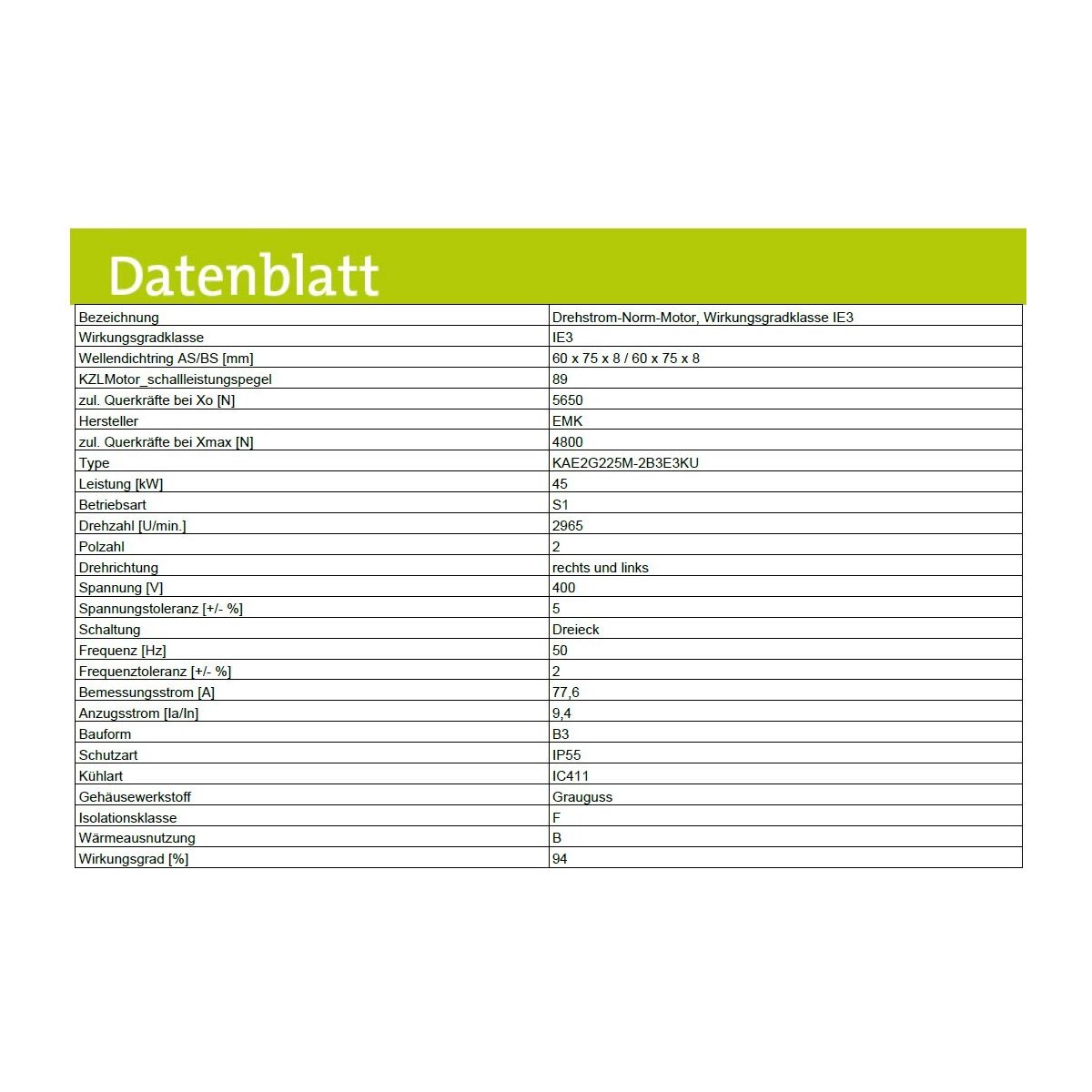 EMK Elektromotor Drehstrom 45kW 3000/min Welle 55mm 225M B3(Fuß) IE3 ...